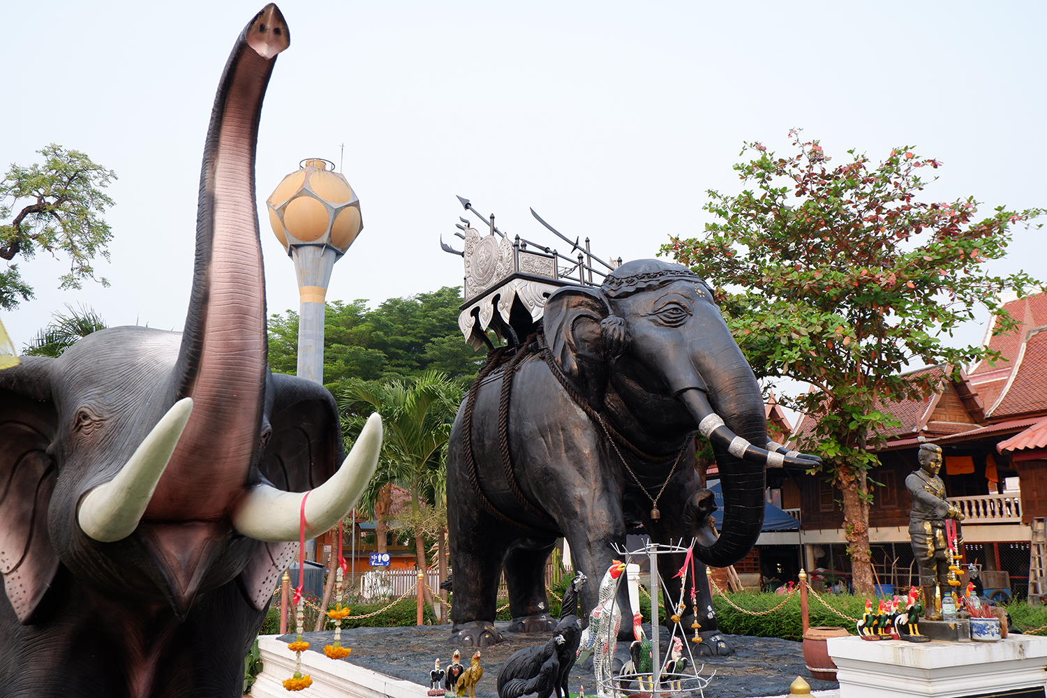 DSCF1948 – สำนักงานองค์การบริหารส่วนตำบลวัดตูม